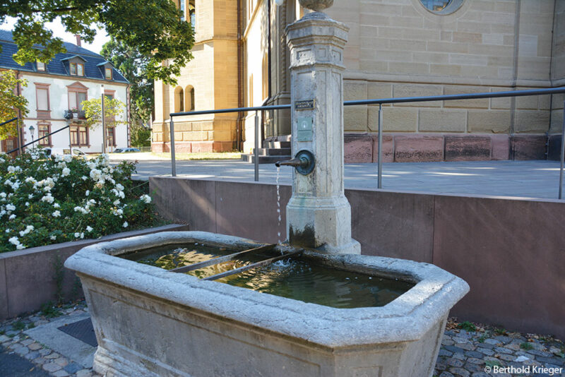 Brunnen: Sie zieren die Wiehre – Warum gibt es nicht mehr davon ...